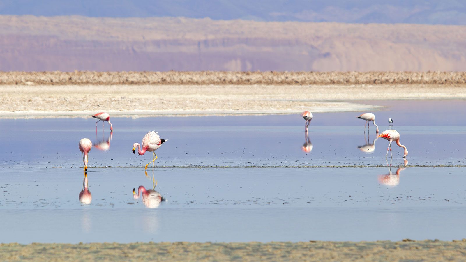 Visit 6 Planet Earth 2 filming locations by superyacht